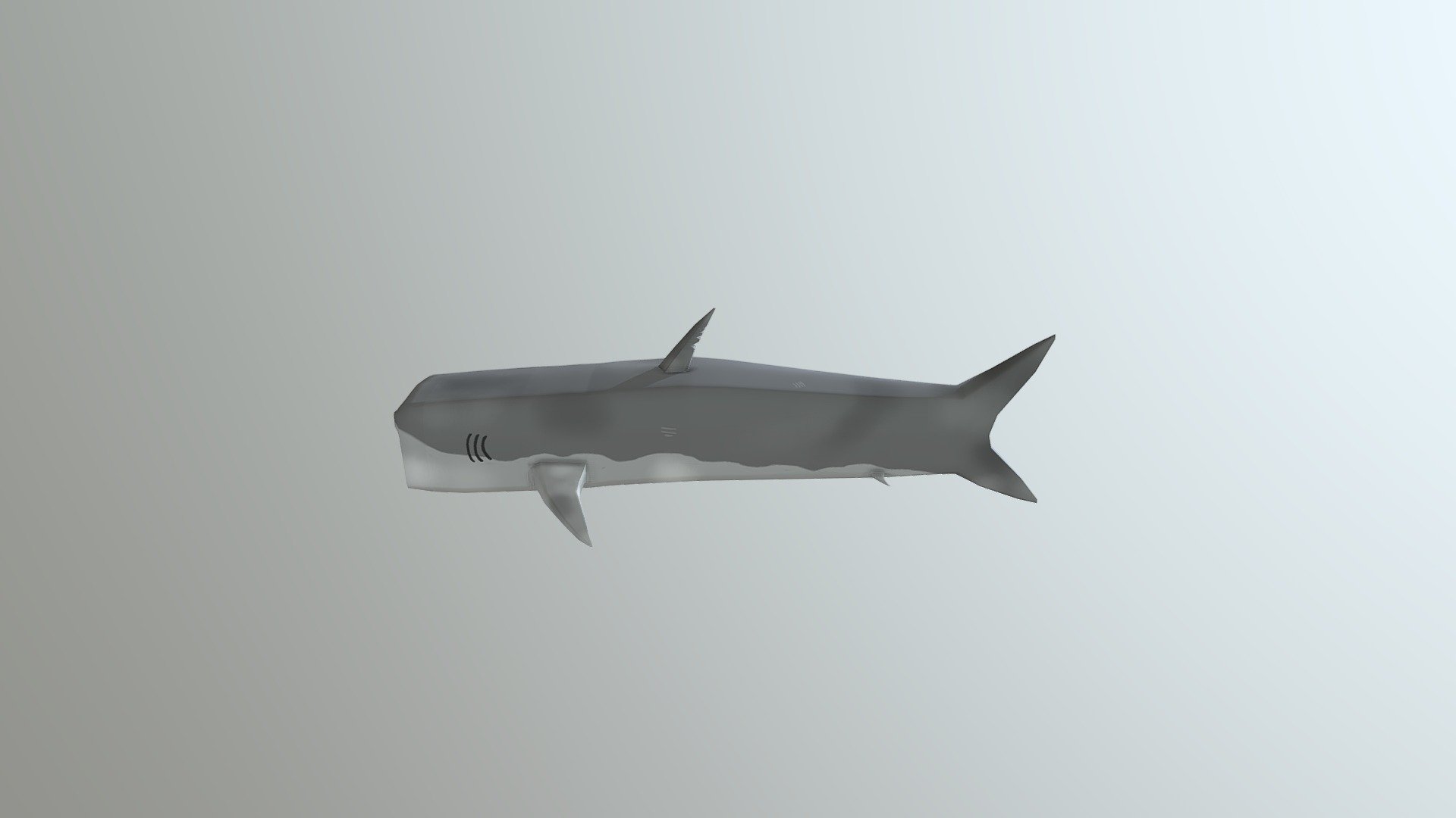 Great White Shark - 3D model by brendanM [3054aa7] - Sketchfab