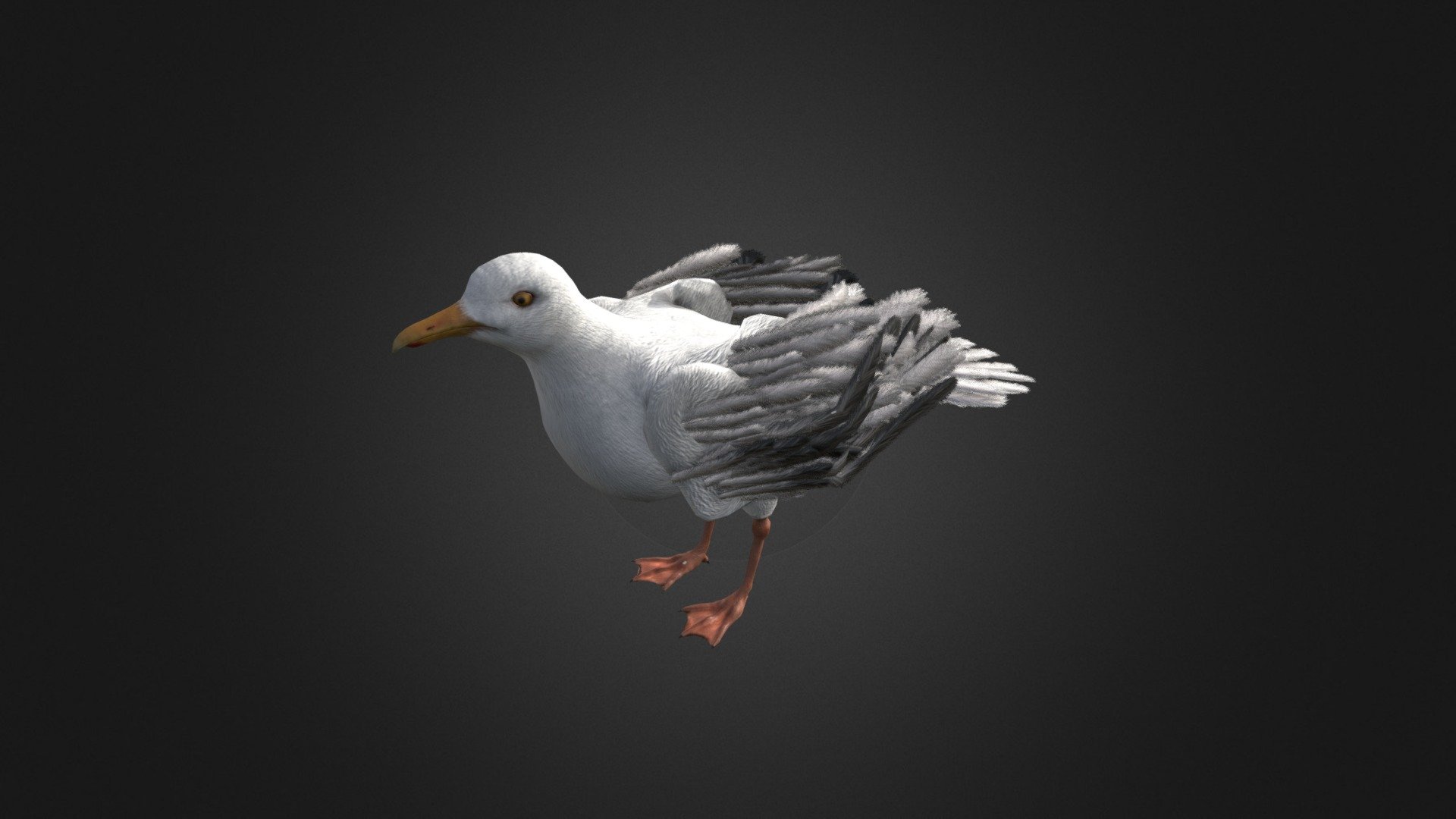 Seagull - Buy Royalty Free 3D model by Rifat3D [3059784] - Sketchfab Store
