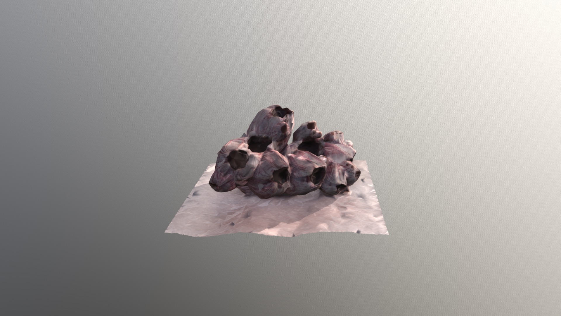 Barnacle - 3D model by Fort Worth Museum of Science and History (@fwmsh ...