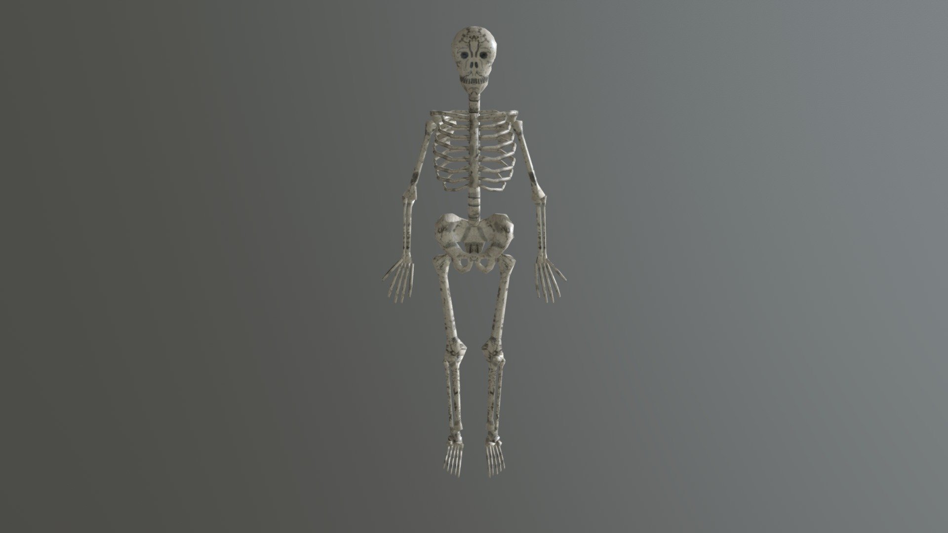Skeleton - 3D model by Ethan Boddy (@eboddy) [305bd96] - Sketchfab
