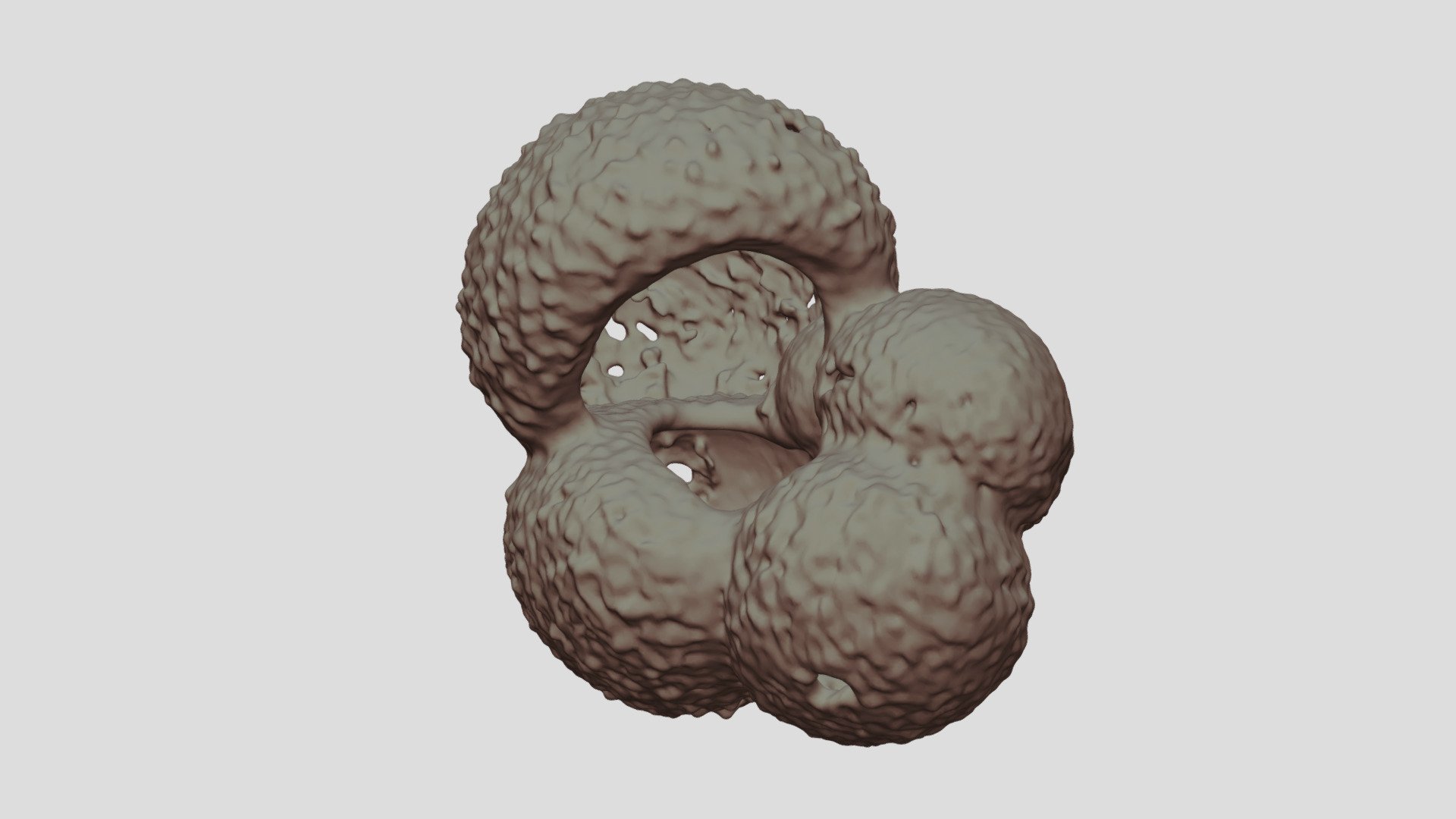 Globigerina bulloides [Geo B8502 825cm Shell-8] - Download Free 3D ...