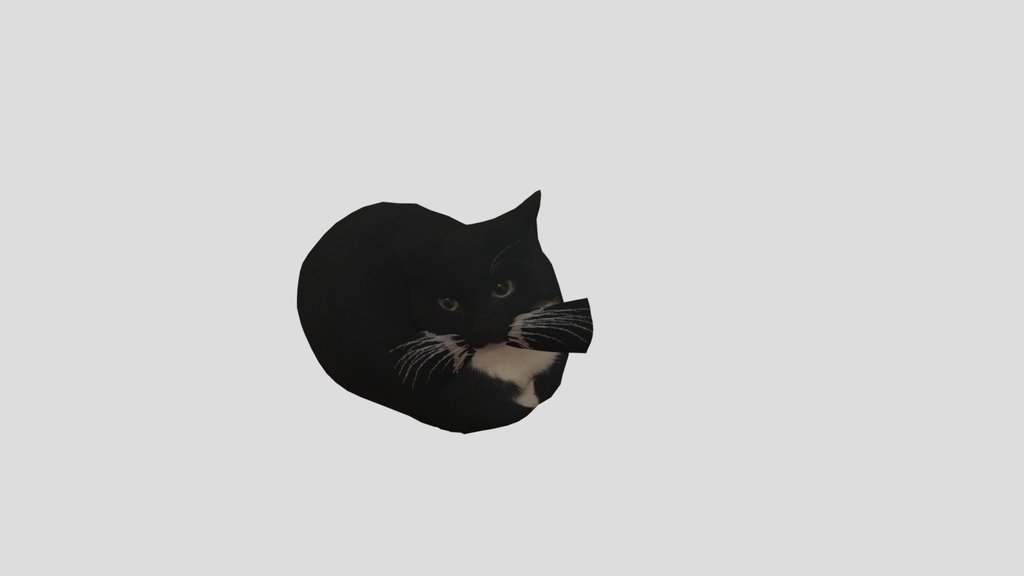 Maxwell cat and angry munci - A 3D model collection by HAND0ME🐰f0ck🎨 ...