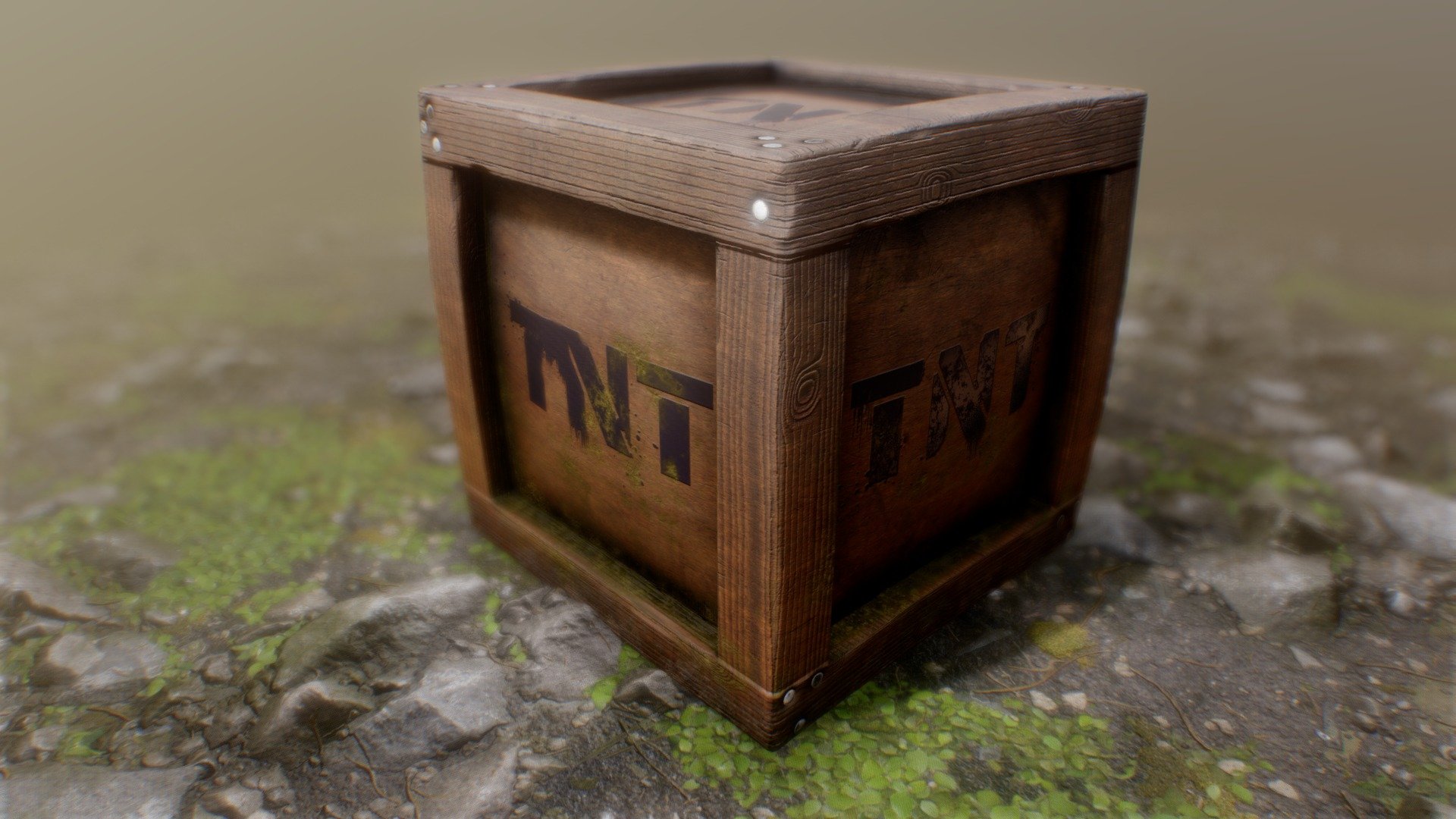 TNT - 3D model by Andrey Gulev (@andrewgulev) [3065f40] - Sketchfab