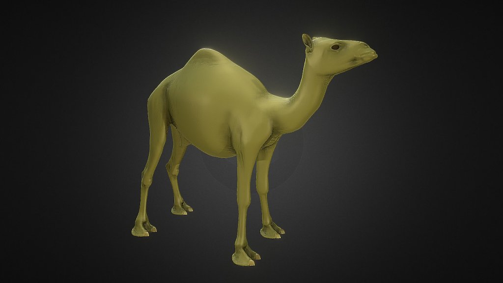 Camel 1 - Download Free 3D model by MOHMAX1 [306bbbf] - Sketchfab