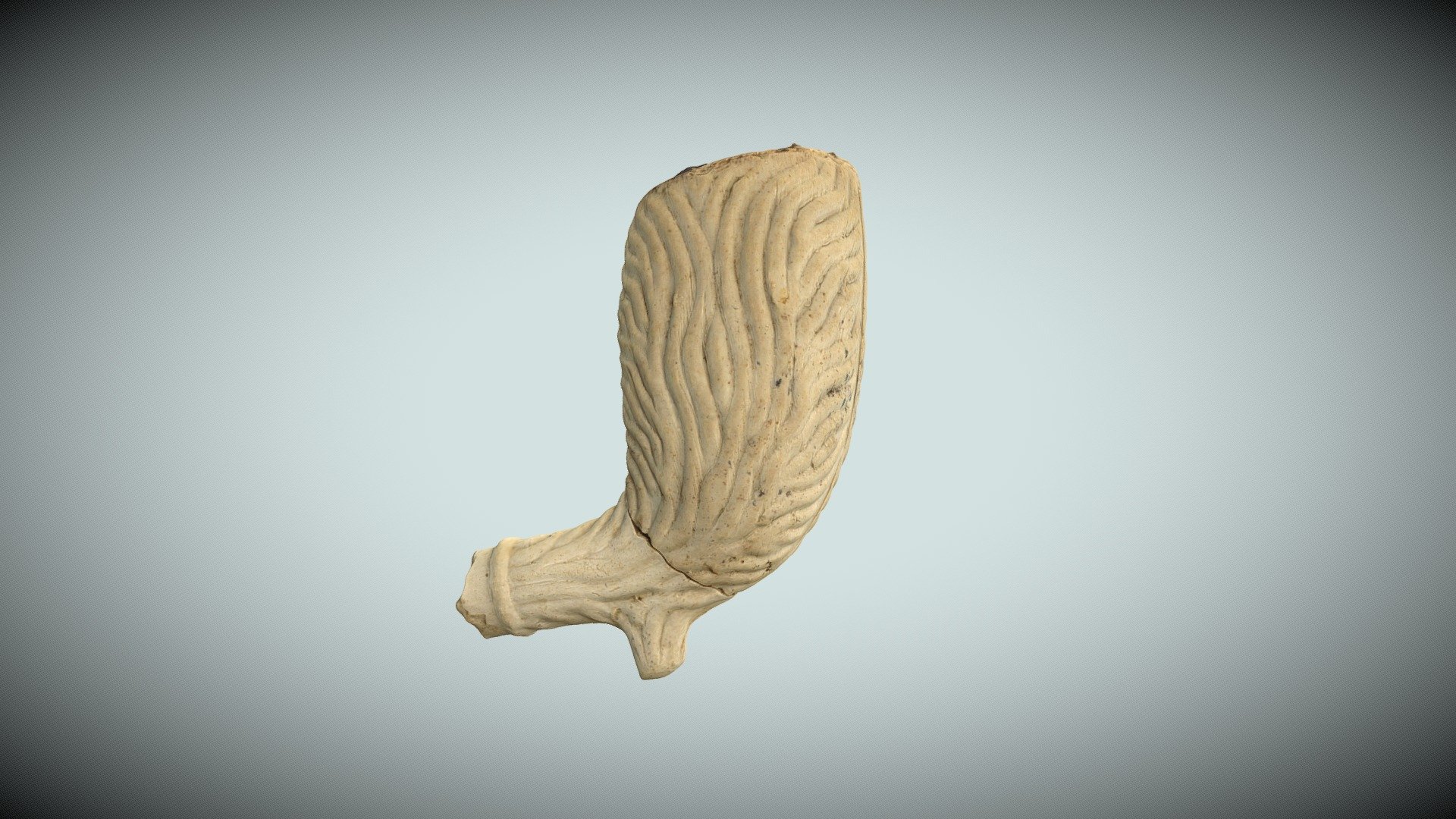 Clay pipe bowl 1 - 3D model by RichardKM [306ca7d] - Sketchfab