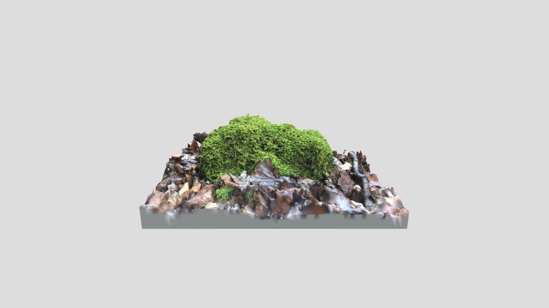 Moos forest in a box - 3D model by leonatay [306cbe1] - Sketchfab
