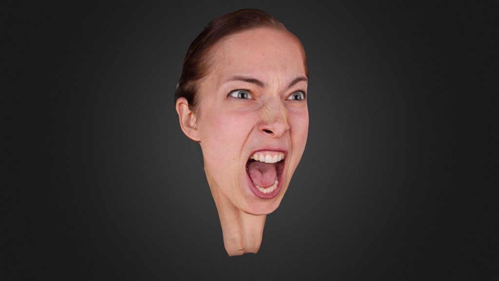 Face Expressions and Hands - A 3D model collection by teomath - Sketchfab