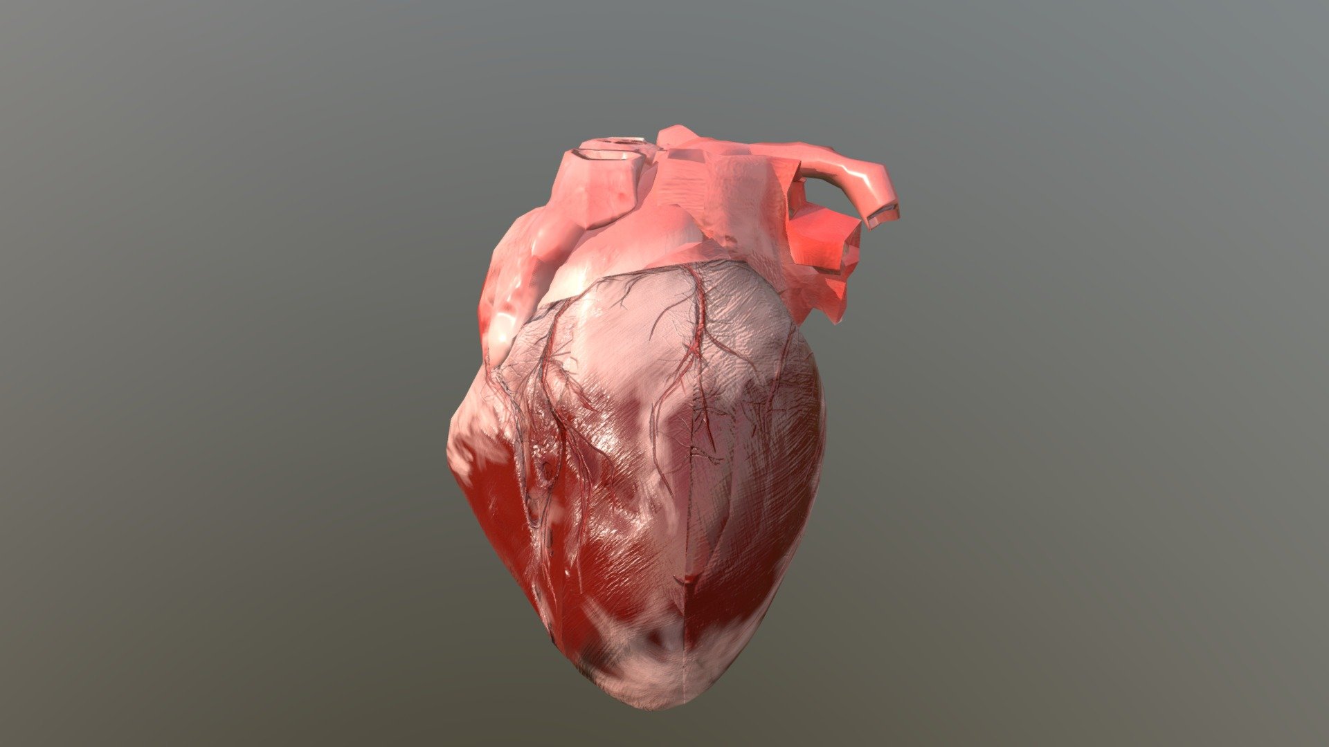 Heart V06 Whole - 3D model by fxmdeveloper [307330e] - Sketchfab