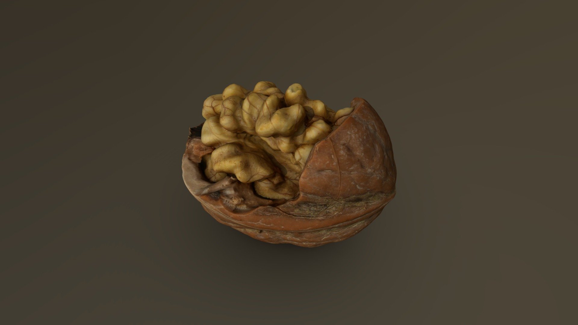 Cracked Walnut 17 - Buy Royalty Free 3D model by CemAygun [30753d6 ...