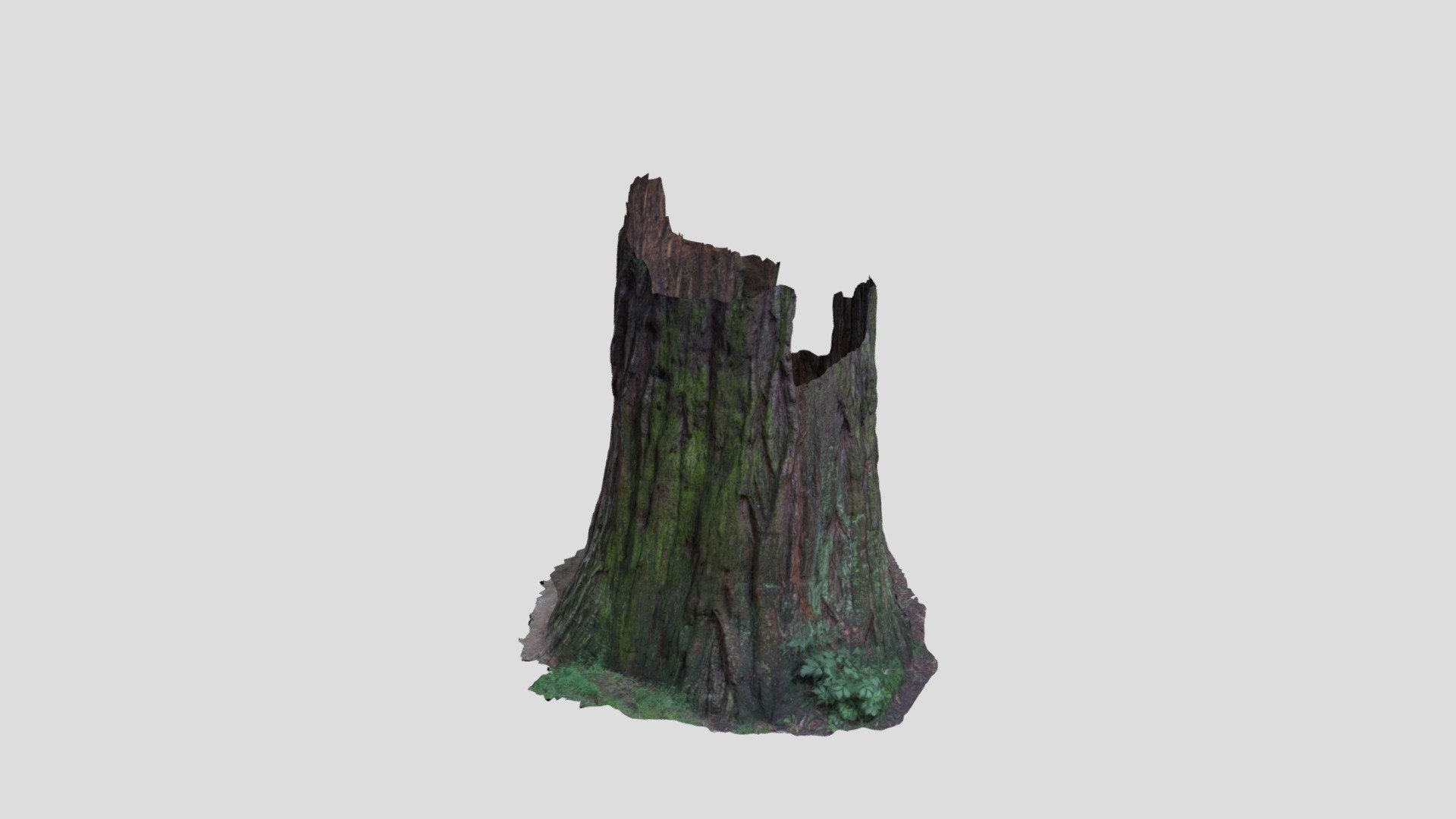 Tree trunk - Download Free 3D model by George Hawkins (@ghawkins02 ...