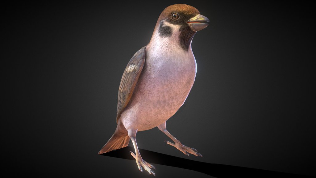 Animals - A 3D model collection by lacerda.julio - Sketchfab