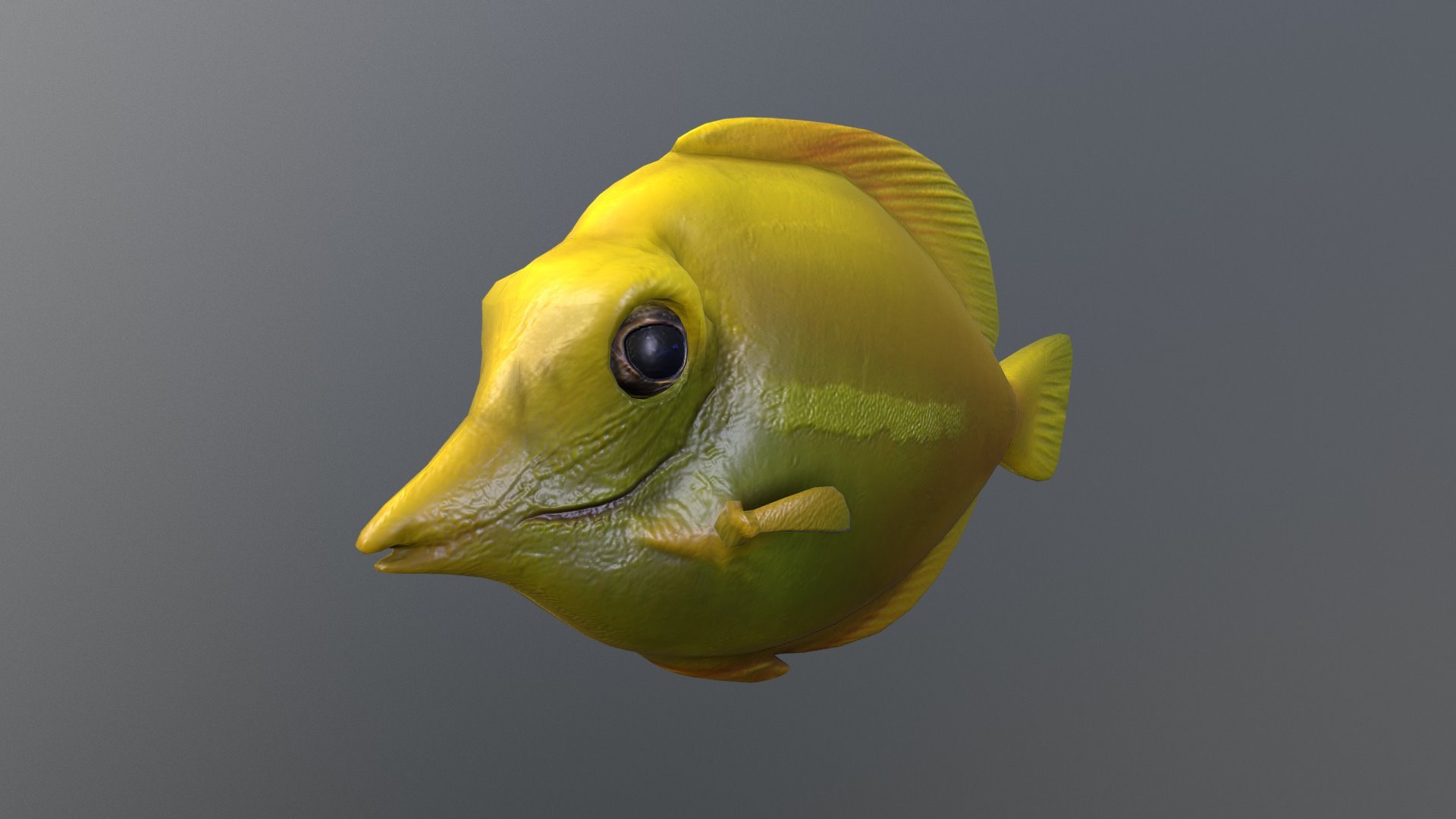 Fish - 3D model by RaquelBotas [3085c60] - Sketchfab
