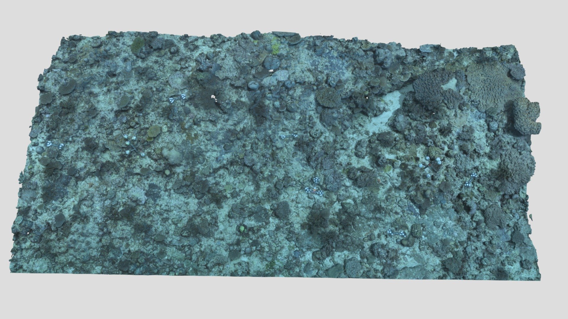 Heron_BA1D_P3_202205 - 3D model by EcoRRAP (@AIMSEcoRRAP) [308680c ...