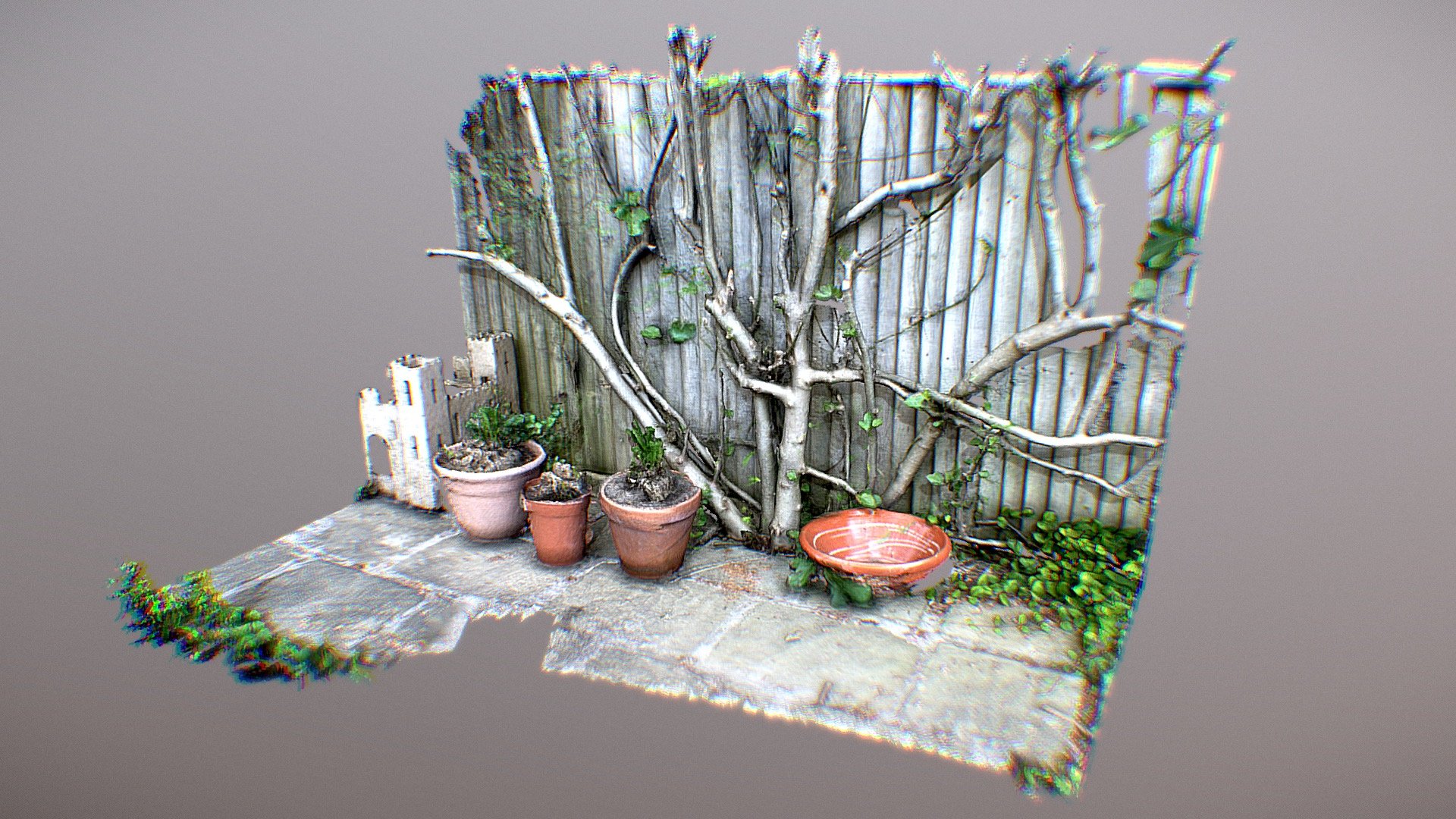 Fig Tree - 3D model by Florian Stephens (@florianstephens) [308732e ...