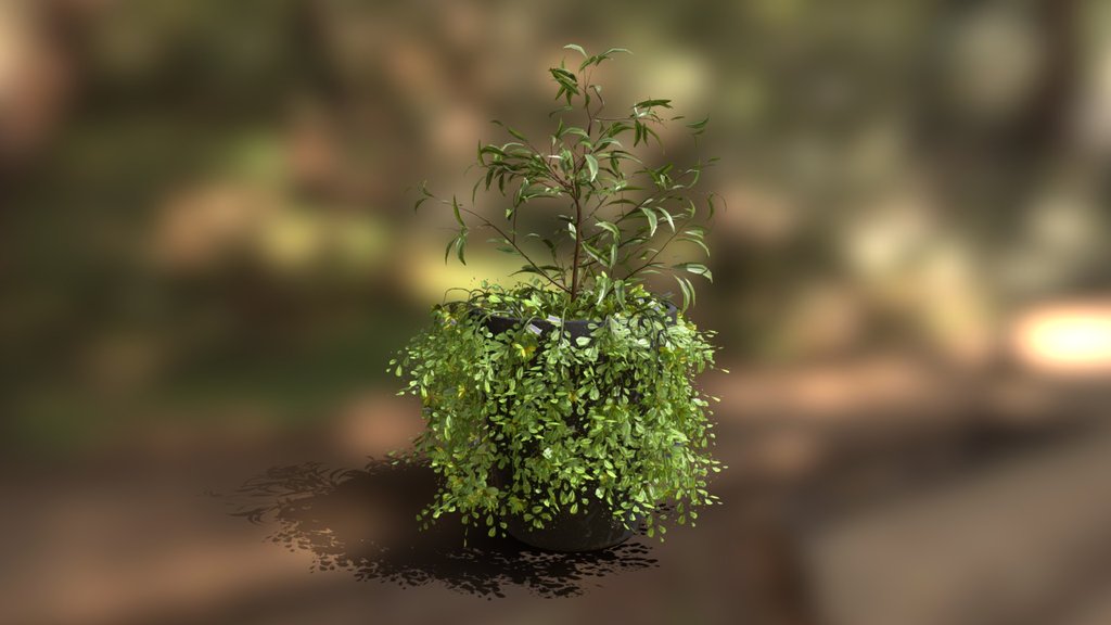 nature - A 3D model collection by aileeshcooper - Sketchfab