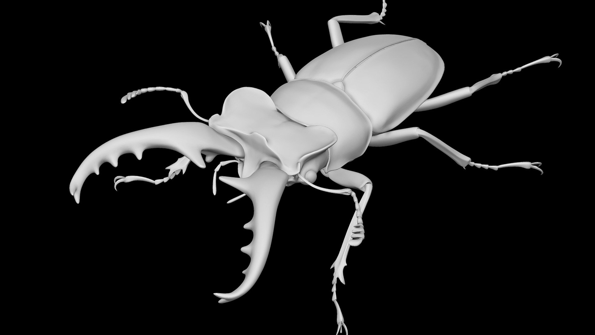 Lucanus Maculifemoratus - Download Free 3D model by tunosemi [308cfeb ...