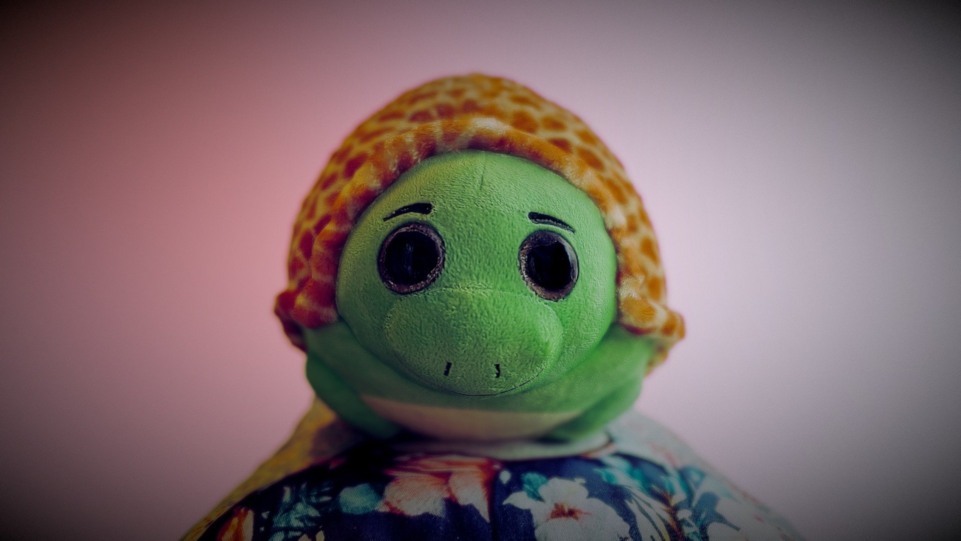 Photogrammetry: Fluffy turtle - 3D model by Christophe Roussel ...