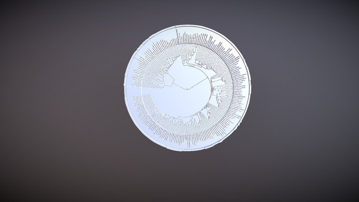 Evolutionary 3D models - Sketchfab