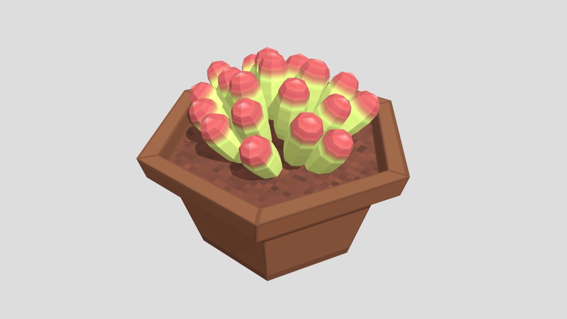 Succulents_002 - 3D model by George Burgman (@georgejp) [309a43c ...