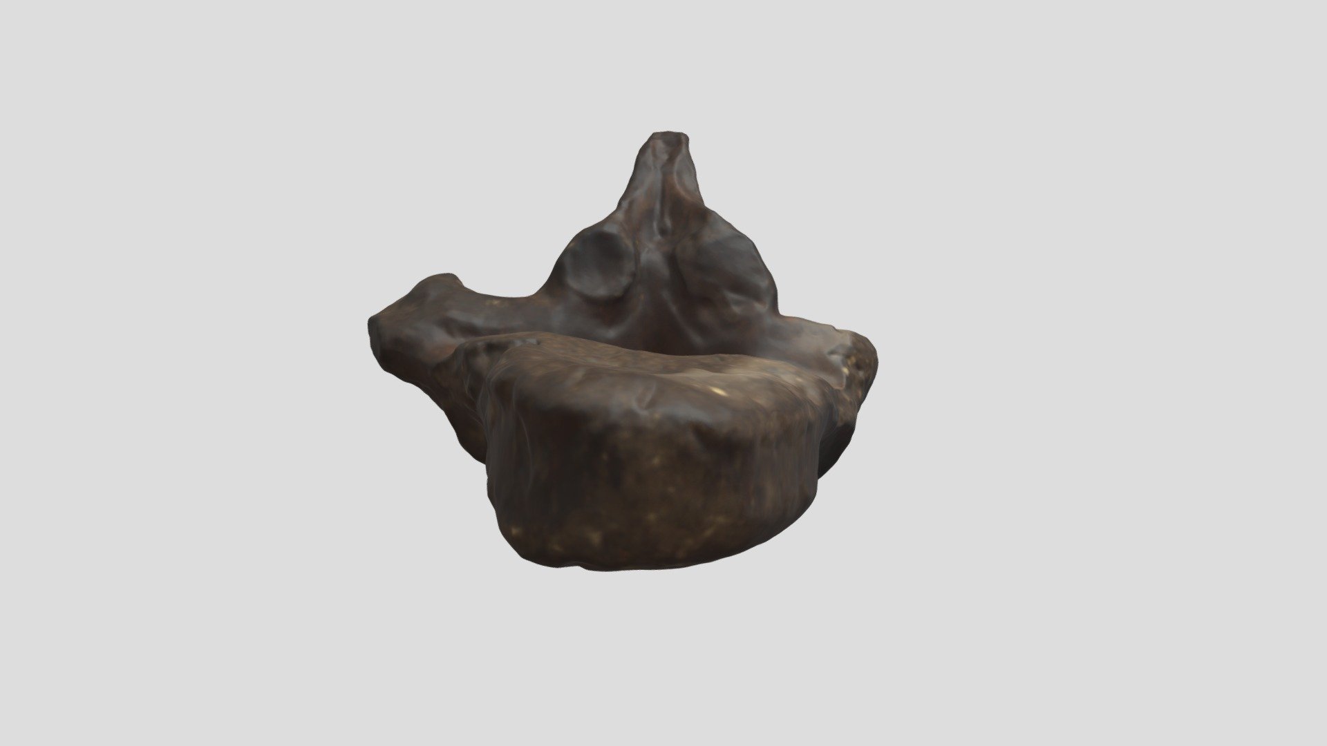 Mastodon Vertebra (VCU_3D_4151) - 3D model by Virtual Curation Lab ...