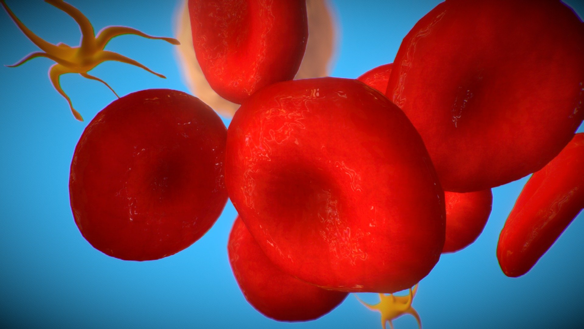 Blood Cell - 3D model by (MEDPIXEL) (@medpixel) [309ffce] - Sketchfab