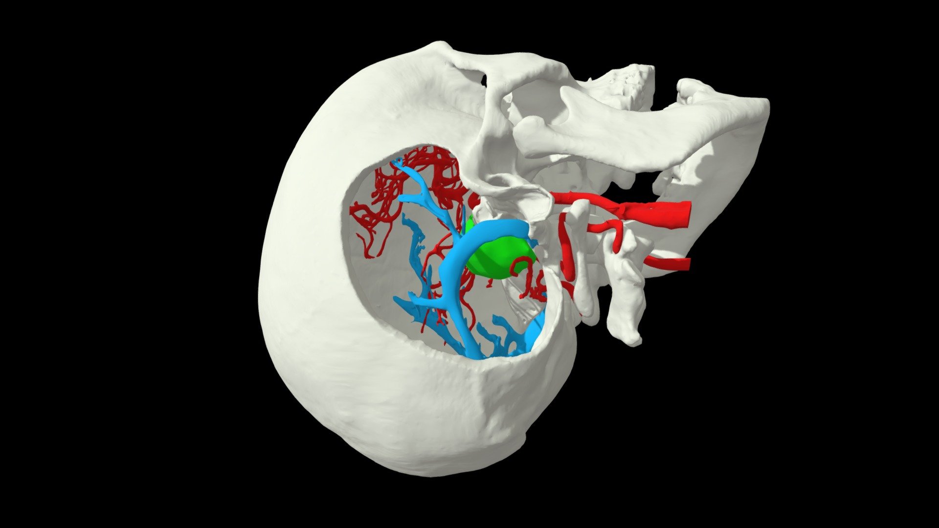 SB0033 PP - 3D model by SkullBasics [30a3608] - Sketchfab