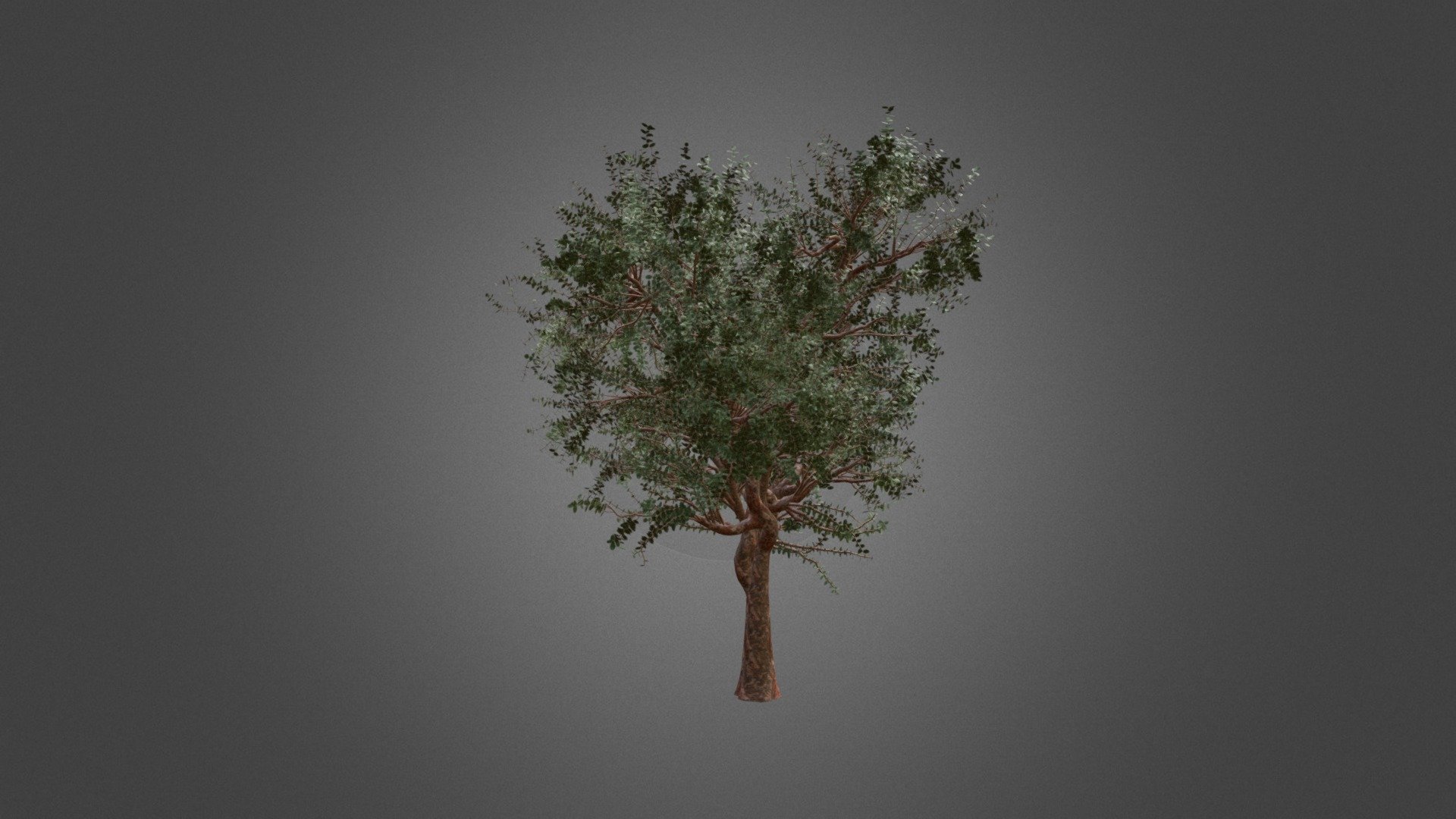 Arrayan - Download Free 3D model by hanandess [30ad3a9] - Sketchfab