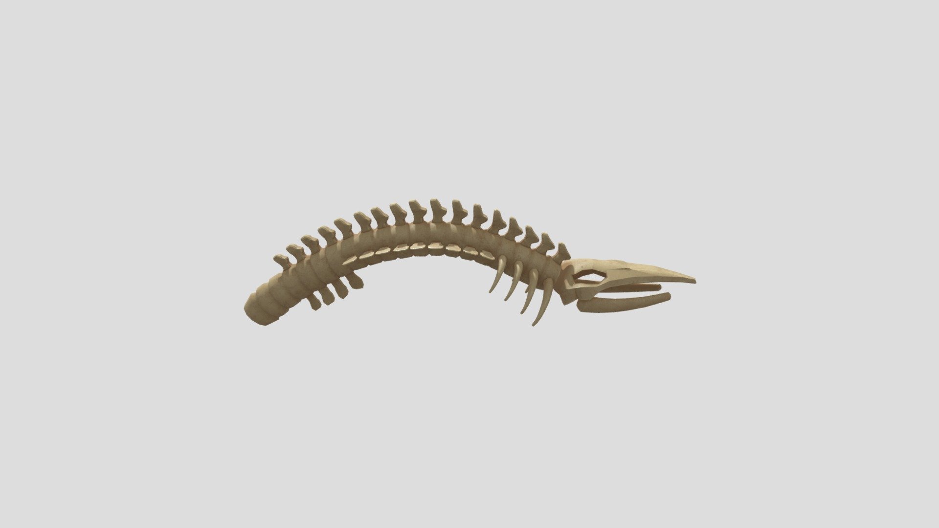 Stylized Whale Bones - 3D model by Carlos Flores Torres ...