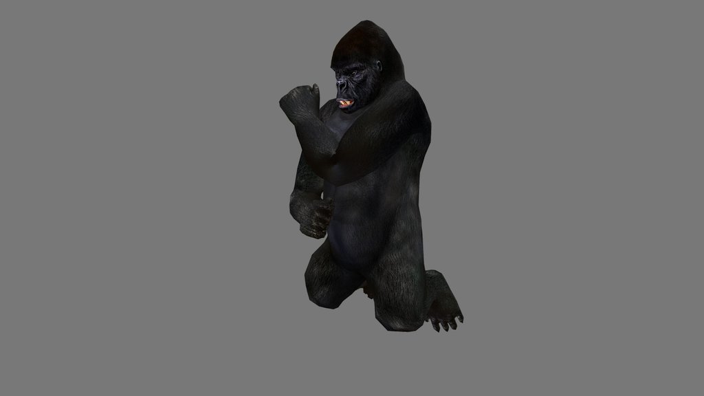 monkeys - A 3D model collection by apo11o - Sketchfab