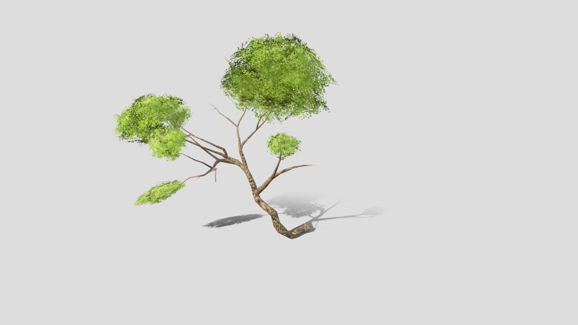 Hill Side Tree - Download Free 3D model by Natural_Disbuster ...