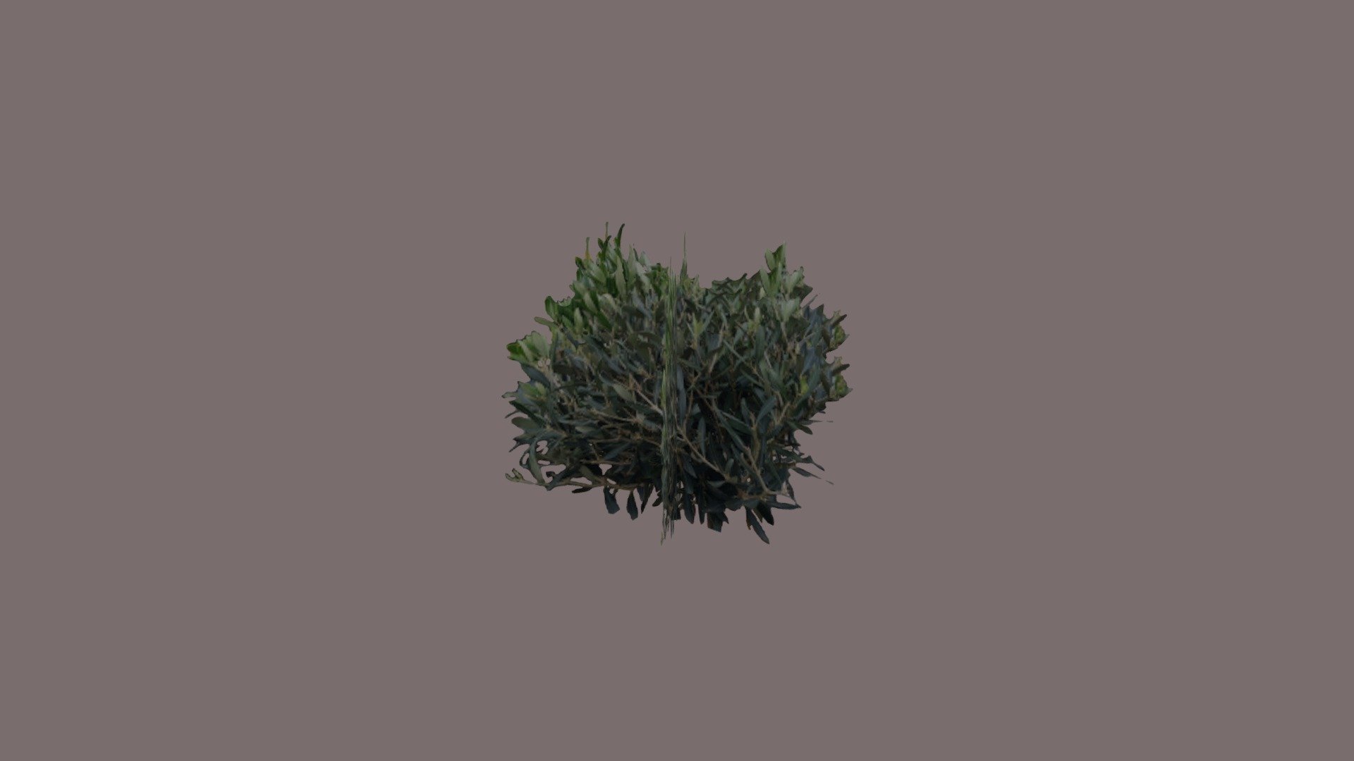 Psx Bush - 3D model by Boo6463 [30b98a2] - Sketchfab