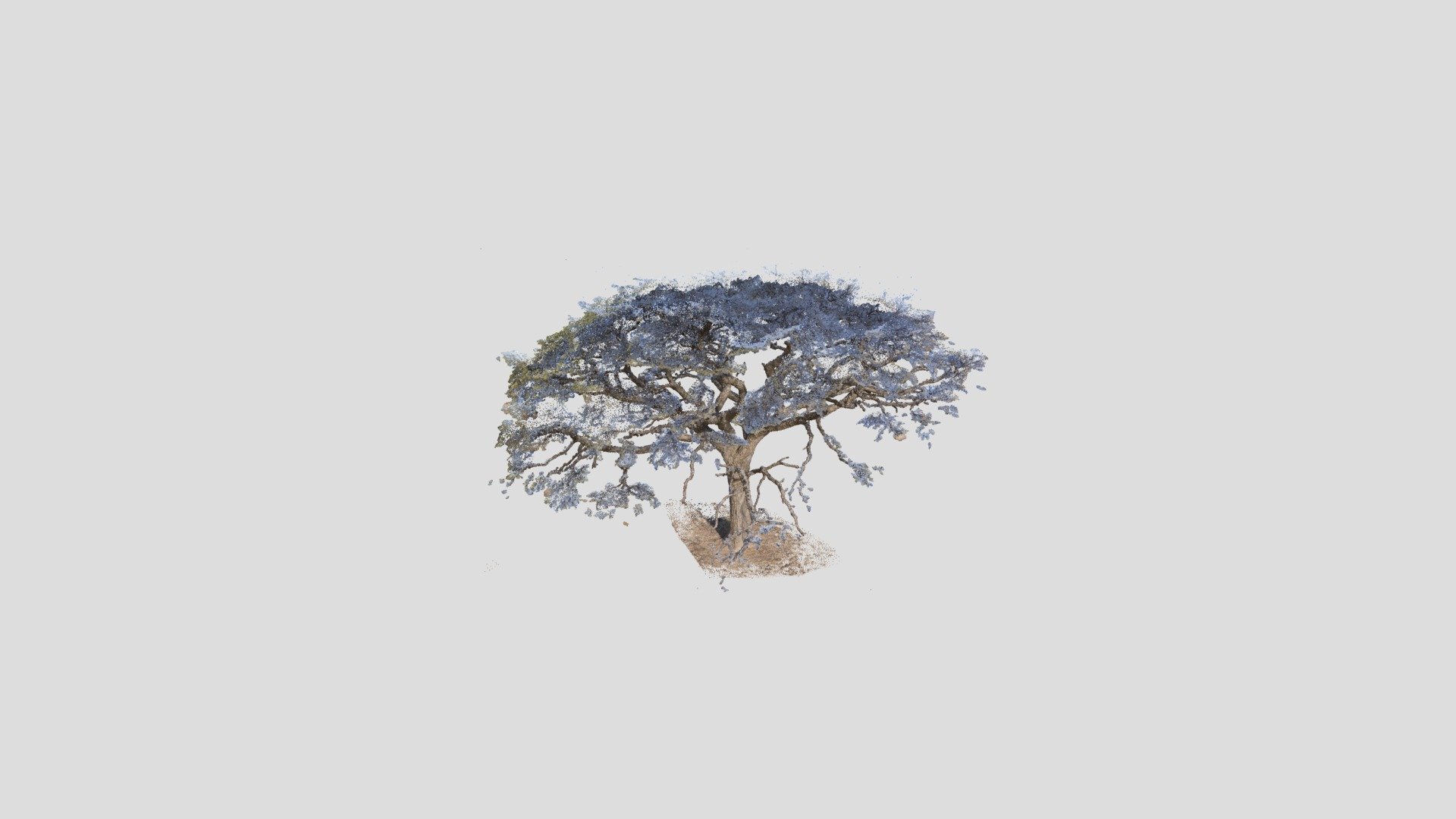 Tree_Low - 3D model by S.Elverdinghe [30bc0fa] - Sketchfab
