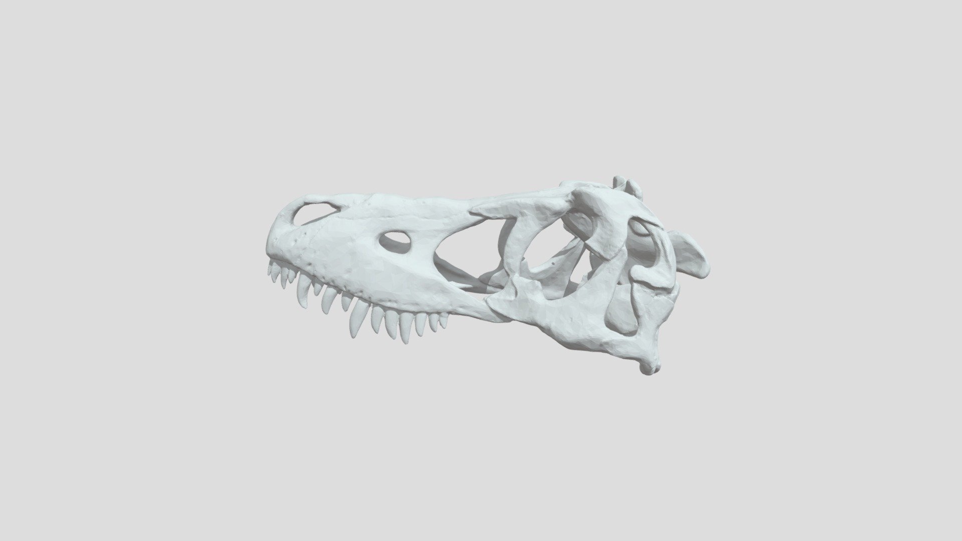Dinosaur Skull (Untextured) - Download Free 3D model by ...