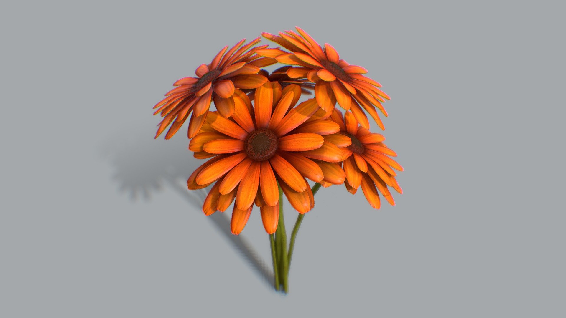 Flower gerbera - 3D model by ana.ooo [30c2400] - Sketchfab