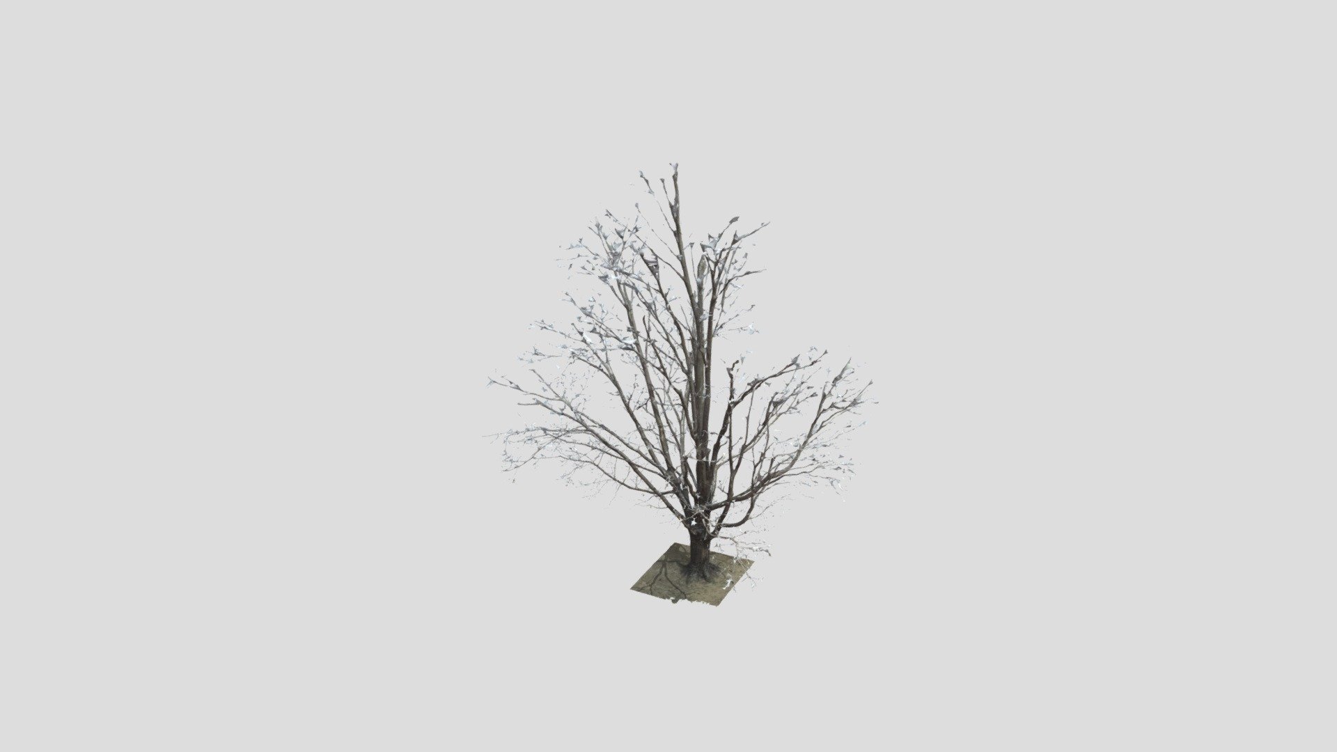 Winter Tree - 3D model by souravsinha (@souravsinha1001) [30c4e29 ...