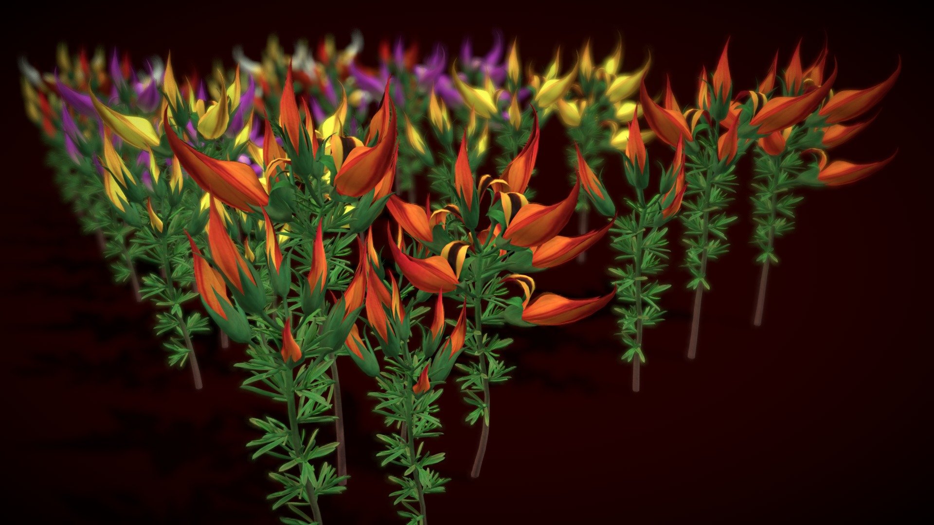 Flower Lotus Berthelotii - Buy Royalty Free 3D model by vustudios ...