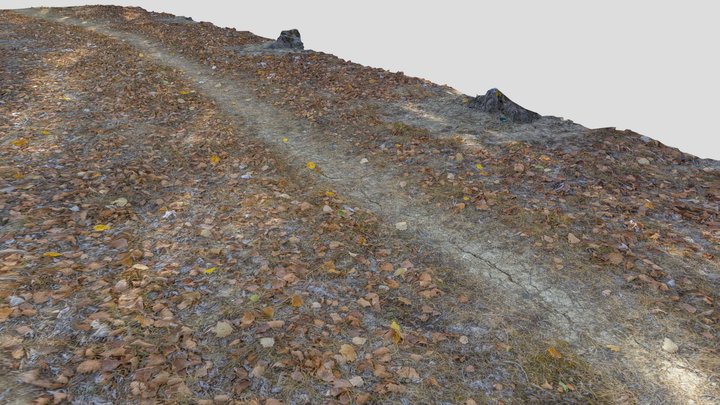 Footpath 3D models - Sketchfab