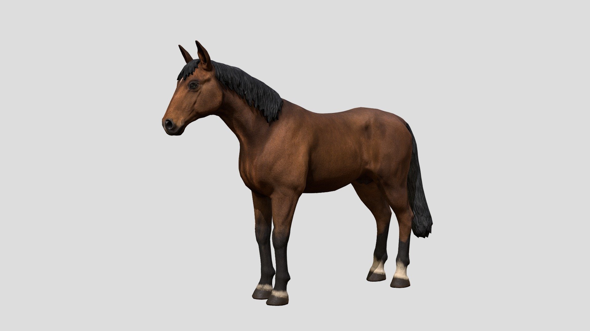 Horse - Buy Royalty Free 3D model by RedDeer (@billl90) [30cf07d ...