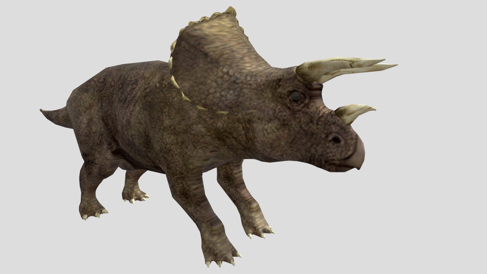 Triceratops - Download Free 3D model by victorberdugo1 [30d49fc ...