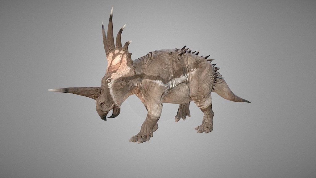 Styracosaurus albertensis - 3D model by CLRaggo (@raggo3d) [30d83f6 ...