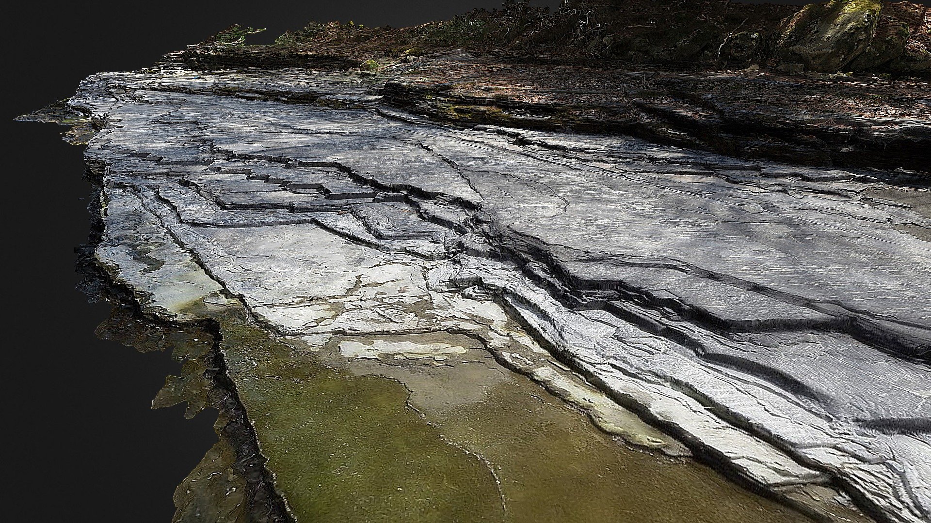 Geology - Dolgeville Formation in Flat Creek - 3D model by Ryan ...