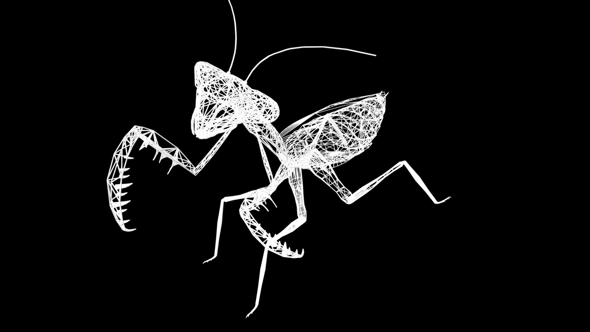 MANTIS WIREFRAME - Buy Royalty Free 3D model by DTA DESIGN STUDIO ...