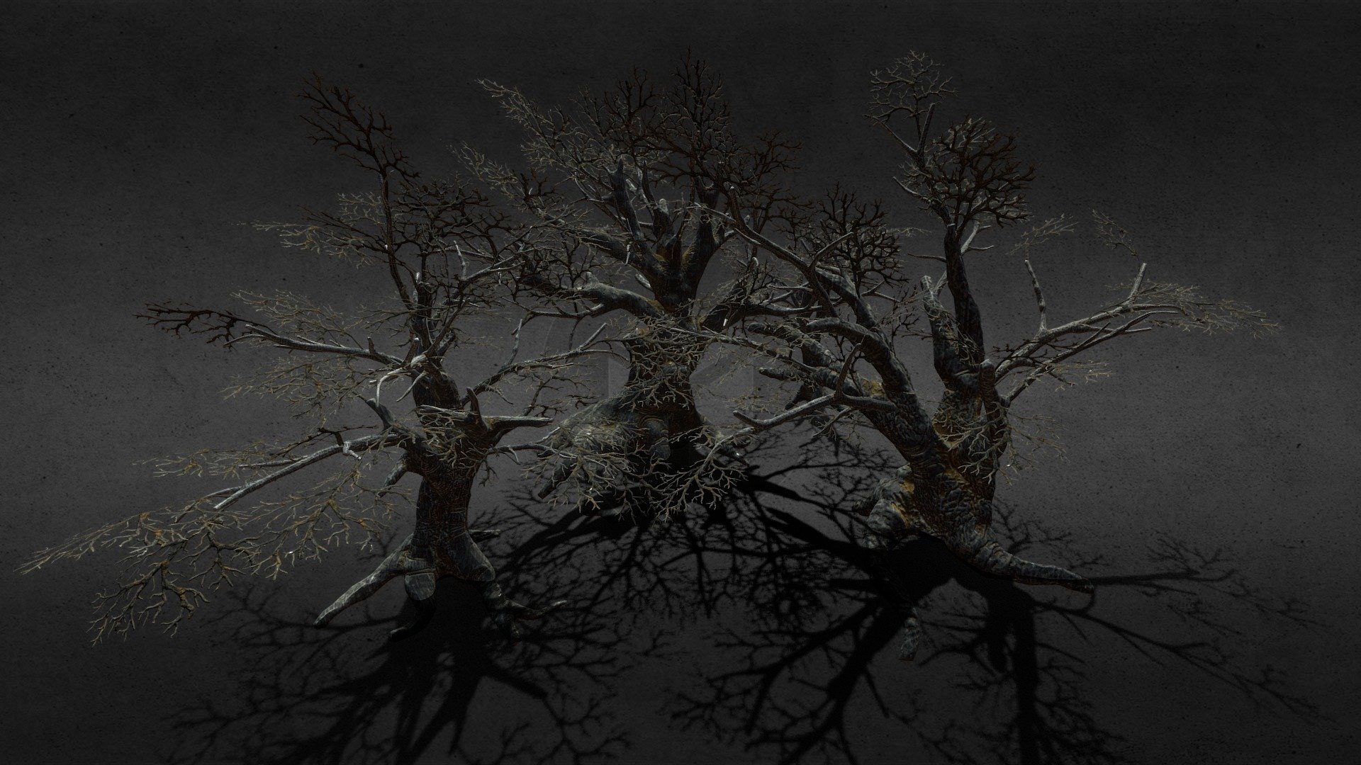Gnarly trees - Download Free 3D model by DJMaesen (@bumstrum) [30e3921 ...