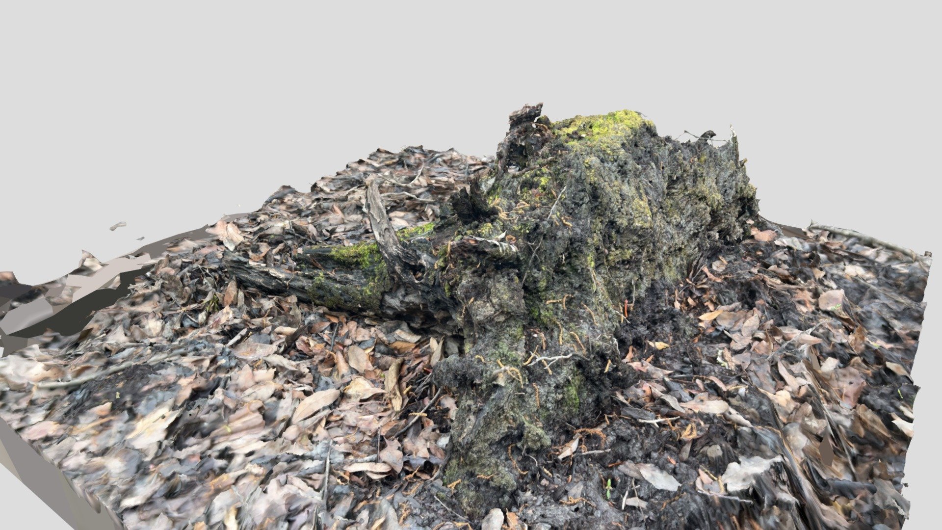 Swamp Stump - Download Free 3D model by emcderm [30ed2ae] - Sketchfab