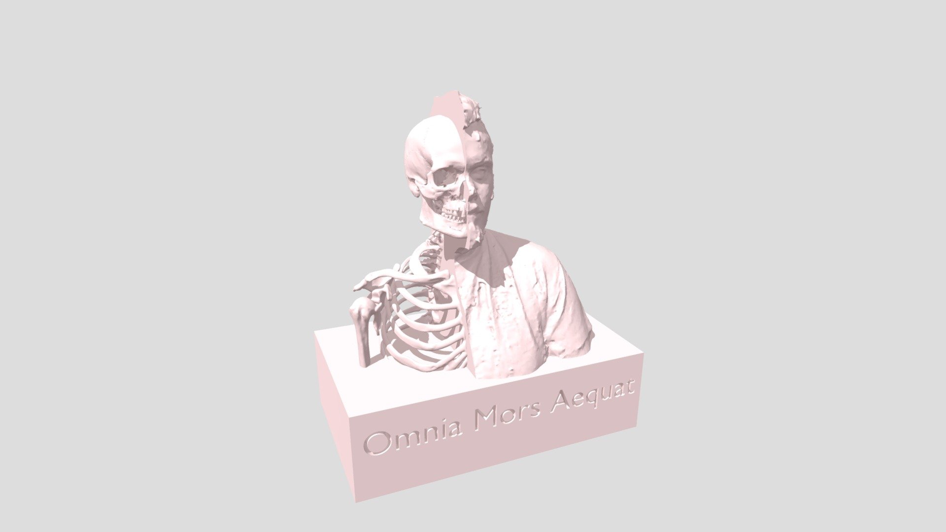 Omnia Mors Aequat 2 - Download Free 3D model by steffenBakksigils ...