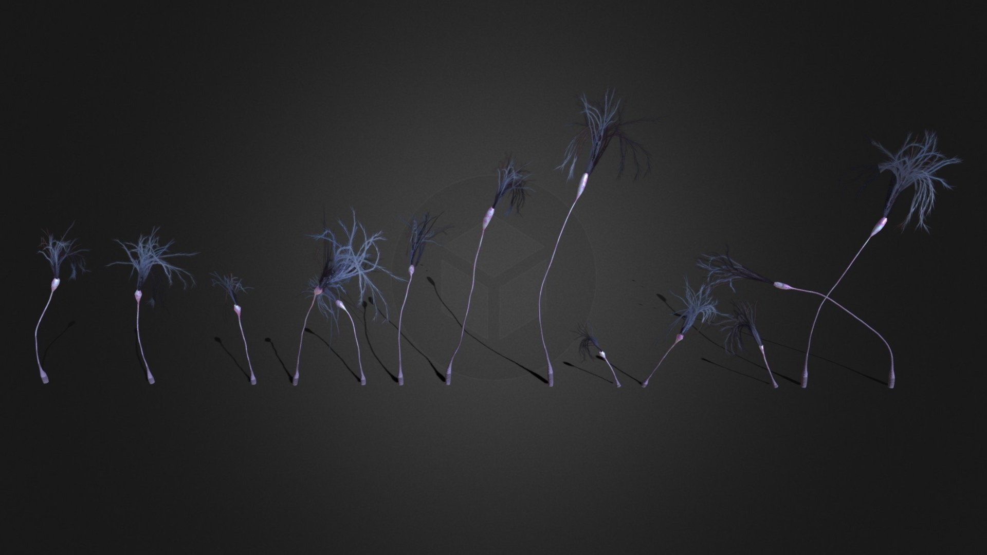 Frill Tendrils - Download Free 3D model by gavinpgamer1 [30f20c8 ...