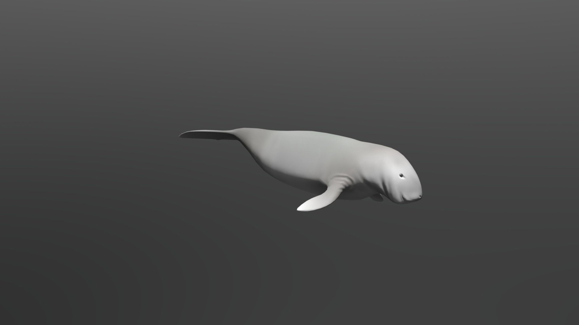 Dugong - 3D model by Total Ocean Interactive (@TotalOceanInteractive ...