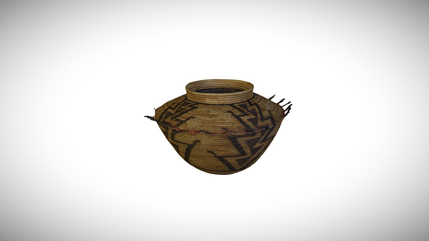 Bottleneck basket / CAS 1983-0001-0009 - 3D model by California Academy ...