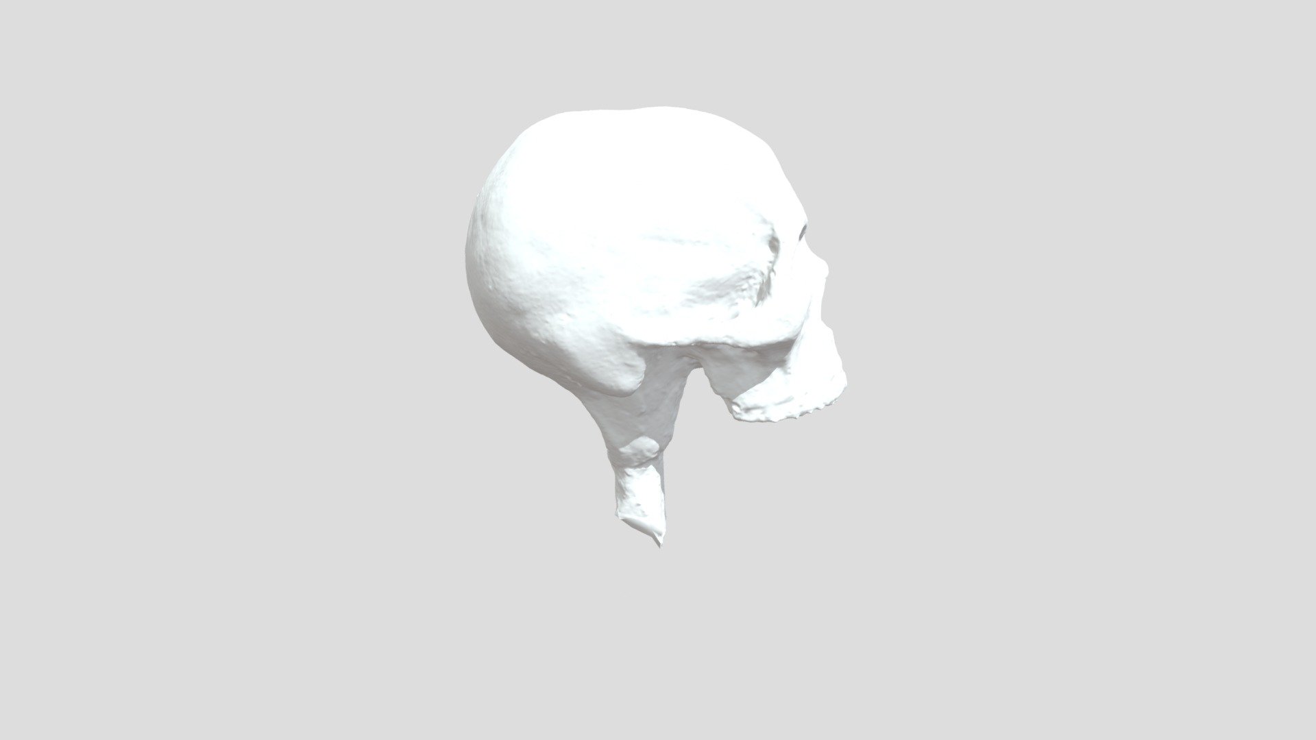 skull with GPU - Download Free 3D model by alligatorbait [30fc342 ...