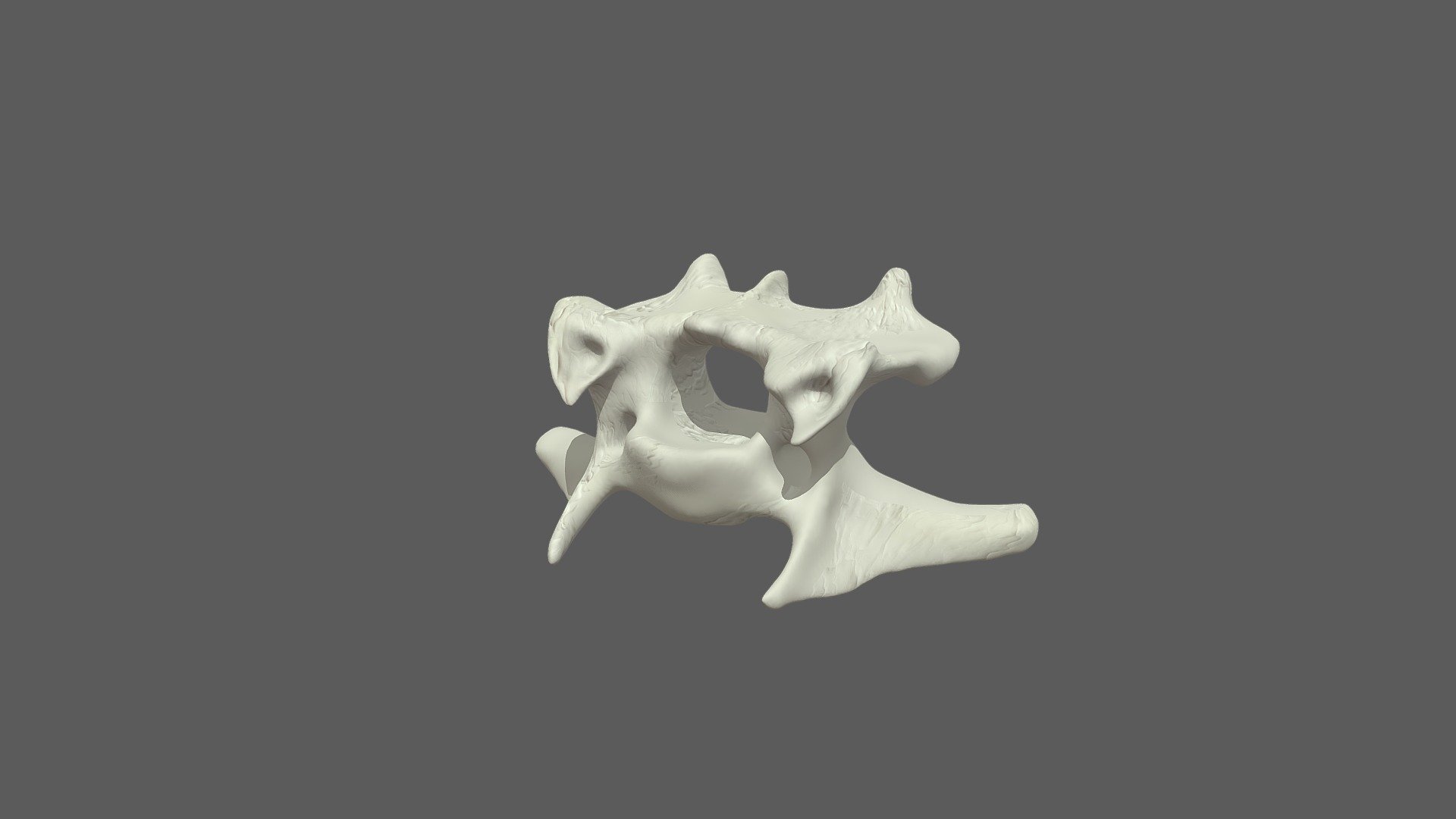 Canine - C3 Vertebra - 3D model by VetVis3D [3105c71] - Sketchfab